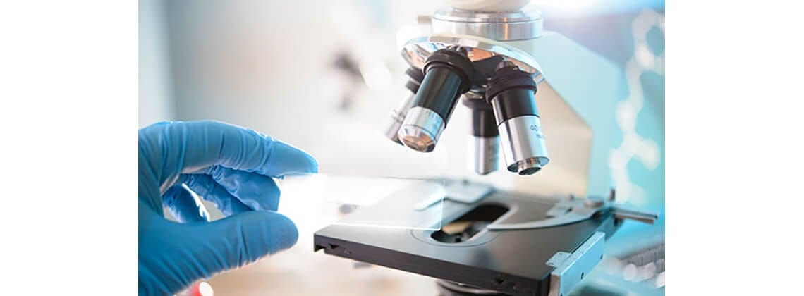 Choosing A Lab Microscope: Features and Tips for Work