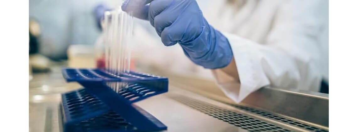 Laboratory Soil Testing: Unlocking the Secrets - Certified MTP Blog