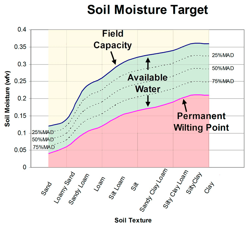 Soil Moisture Testing: Methods and Tools to Measure