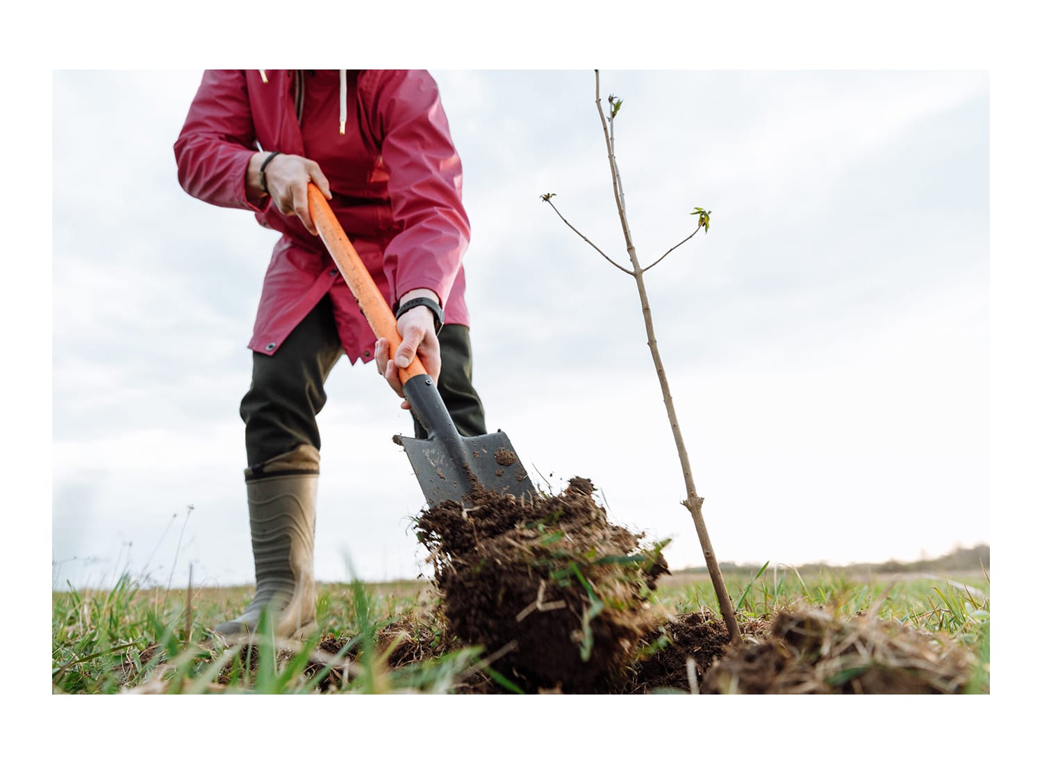 Digging with Shovel: Essential Techniques for Efficient Excavation