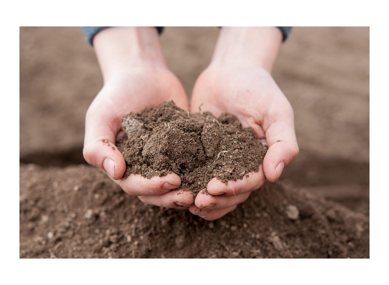 Soil Sample Probe: Finding for Your Needs